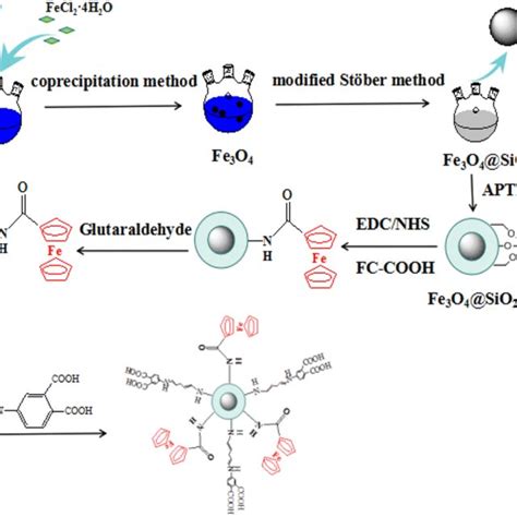 regeneration of fe3o4 sio2 fc cooh for five cycles co 50 mg l⁻¹
