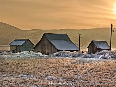 Lpp4626ced Royce Nowlin Flickr