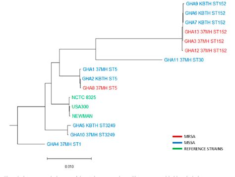 Figure 1 From Whole Genome Sequencing And Antimicrobial Resistance Of