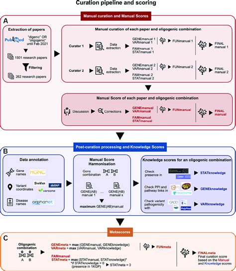 Summary Of The Curation Pipeline For The Creation Of The A Manual Download Scientific Diagram