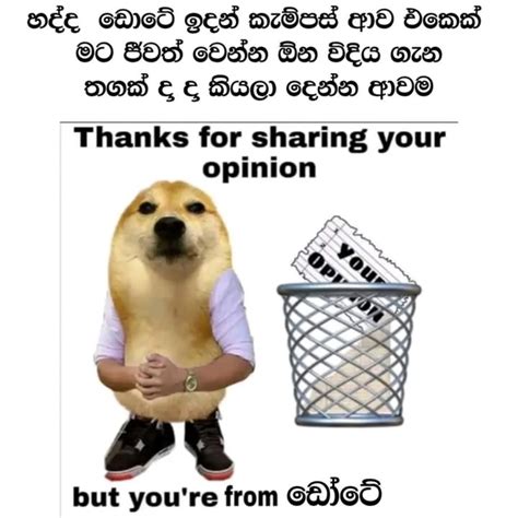 Thilina Wickramasinghe 😂😂 Srilanka Colombo Travel