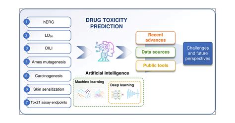 Prediction Of Drug Effect At Jose Huggins Blog