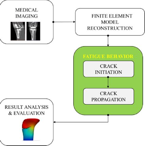 Figure 1 From Crack Propagation In The Tibia Bone Within Total Knee Replacement Using The