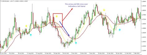 Sidus Indicator The Forex Geek