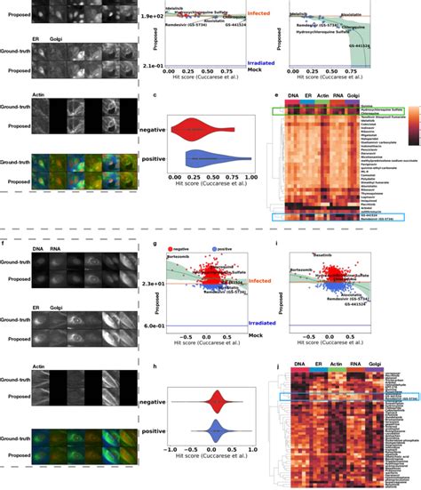 Reconstruction Visualization Of Lea And Quantitative Comparison Of Drug