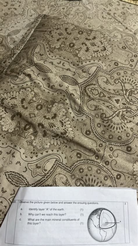 Observe The Picture Given Below And Answer The Ensuing Questionsa Iden