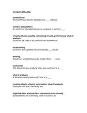 CIS MS Office CIS MS Office Spreadsheet Excel Can Best Be Described As