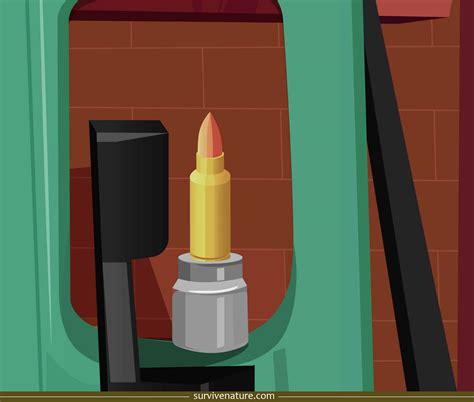 How To Reload Ammo Essential Skill For Every Shooter Survive Nature