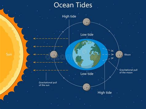Earth Moon Tides Sun Printables