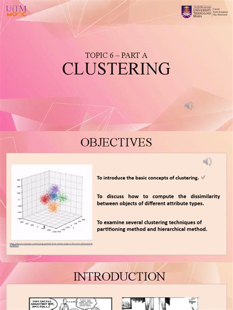topic 6a introduction to clustering pdf cluster analysis analytics