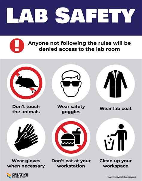 What Are The Safety Precautions In Computer Laboratory At William Biscoe Blog