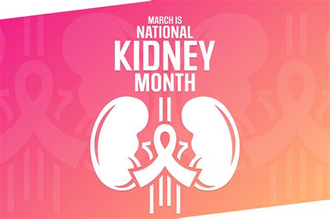 3월은 전국 신장의 달입니다 벡터 그림입니다 휴일 포스터 콩팥 내부 기관에 대한 스톡 벡터 아트 및 기타 이미지 콩팥 내부 기관 월 국가 관광명소 Istock