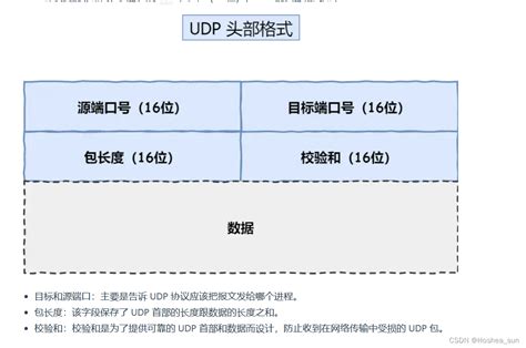 dns协议 笔记 8 8 8 8是严格按照dns协议去管理缓存的 csdn博客