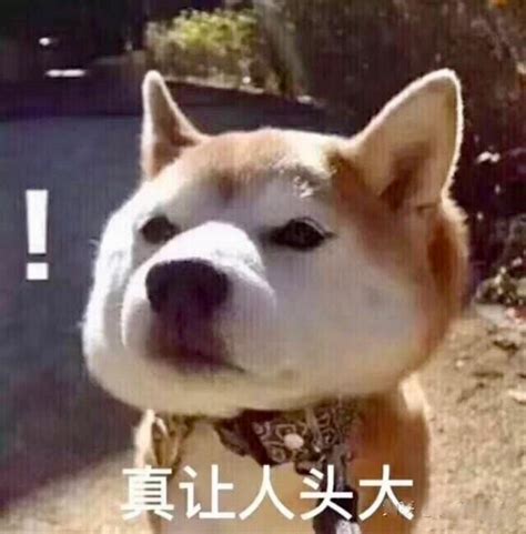 Pyinstall打包pyqt程序体积太大 Selfblogforwyx