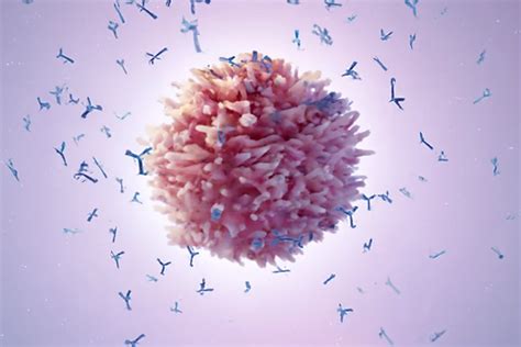 Exploring B Cell Cloning In Antibody Discovery Aurigene Services