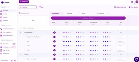 how to configure organization custom fields and show salesforce details chisel help