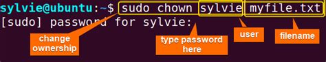 How To Change File Permissions To In Ubuntu