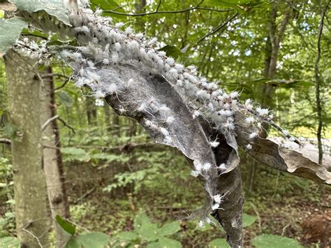 Eversource Nh Eversource Nh Added A New Photo