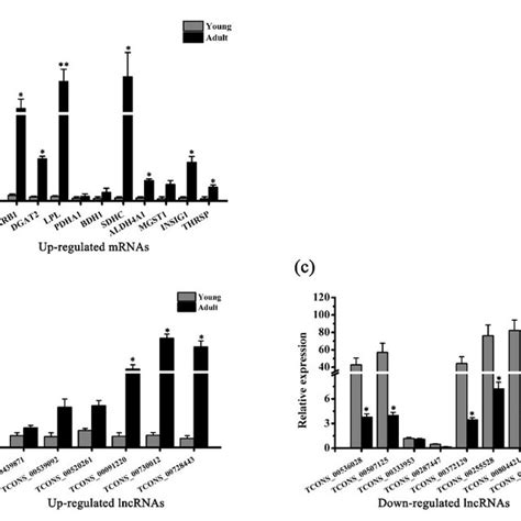 Validation Of Differentially Expressed Mrnas And Lncrnas By Qrt Pcr Download Scientific