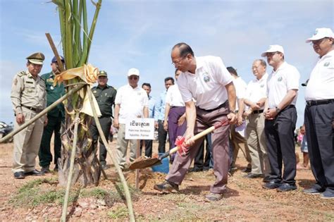 ដើម ត្នោត ជាង ៧ ០០០ ដើម ត្រូវ បាន អាជ្ញា ធរ ខេត្ត កំពត ដាំ នៅ តំបន់ ព្រំ ដែន កម្ពុជា វៀ ត ណាម