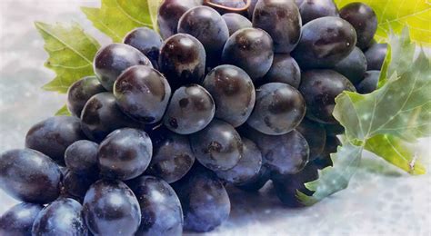 Chacha 5 Recipes At Home