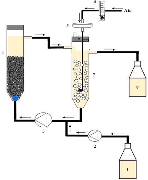 Schematic Diagram Of The Fluidized Bed Bioreactor System 1 Feed Download Scientific Diagram
