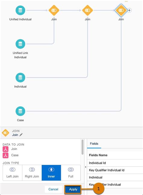 Create Insights Using Data Cloud Salesforce Trailhead