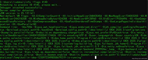java自带的jvm性能监控及调优工具（jps、jinfo、jstat、jmap、javap）使用案例 jmap heap 怎么用 csdn博客