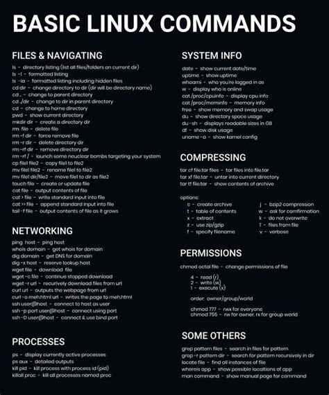 Visual Basic Linux Commands Infographictv Number One Infographics And Data Data