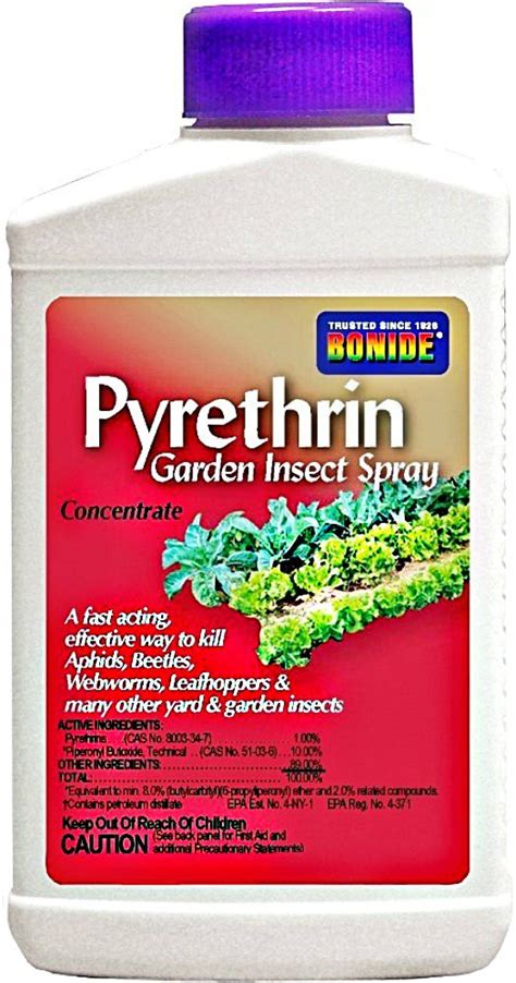 Buy The Bonide 858 Pyrethrin Garden Insect Concentrate 16 Oz
