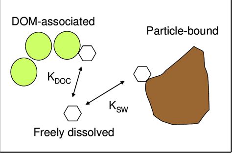 Figure S2 Three Phase Partitioning Model The Total Chemical Download Scientific Diagram