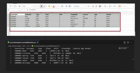 Developing A Cap Application In Vscode Using Csv Data Erp Qanda