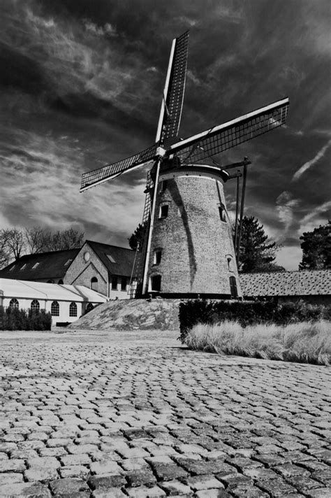 Hendrickx Gert De Grote Napoleon