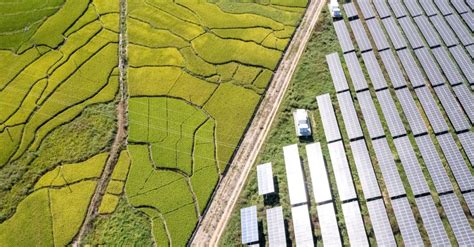 Sharon Lobo On Linkedin Decarbonizing And Going Circular