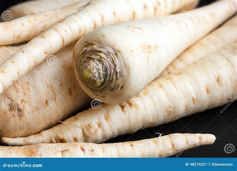 Whole Parsnip Roots Stock Image Image Of Bunch Parsnips 48274321