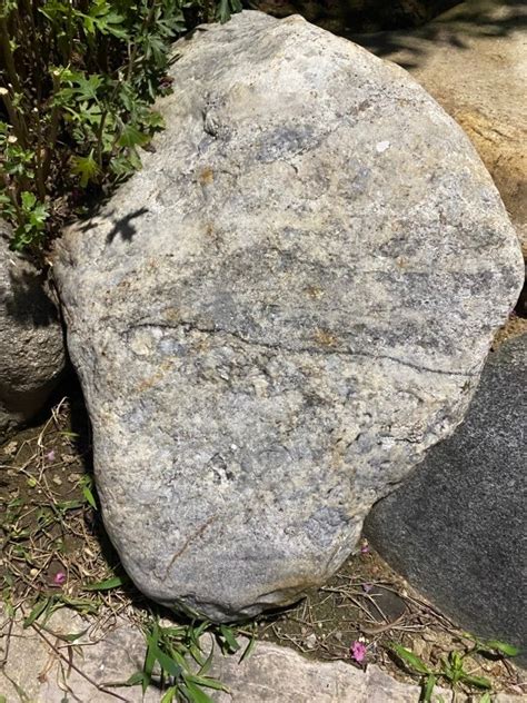 사진에 있는 암석의 종류를 알려주세요급함 지식in