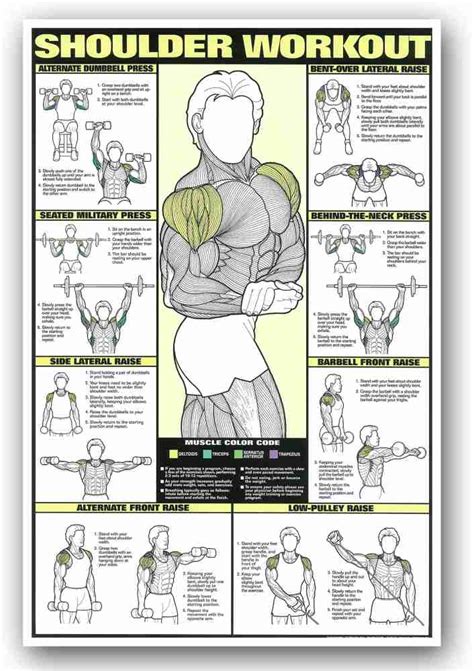 Shoulder Exercises Chart