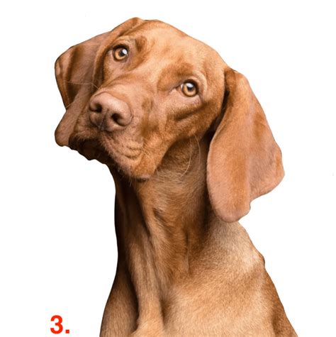 How To Save Procreate File With Transparent Background