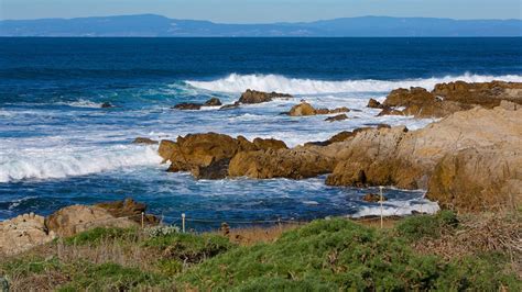 Asilomar State Beach In Pacific Grove California Expedia