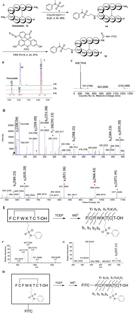 Stepwise Modification Of The Lysine Residue And N Terminus Of