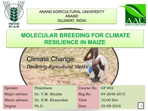 Molecular Breeding For Climate Resilience In Maize Pptx