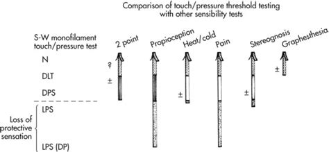 Sensibility Testing With The Semmes Weinstein Monofilaments