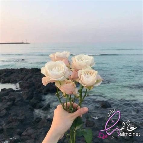 ورود رومانسية للاهداء،صور ايد بنت2020 رمزيات فتاه ماسكه ورده،ورد طبيعي