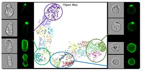 Flowsight Cytek Biosciences