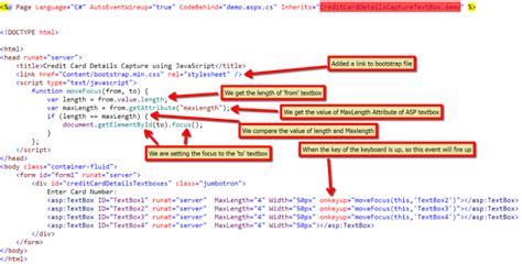 credit debit card details capture textbox in asp using javascript