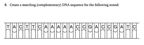 Solved 8 Create A Matching Complementary Dna Sequence For The