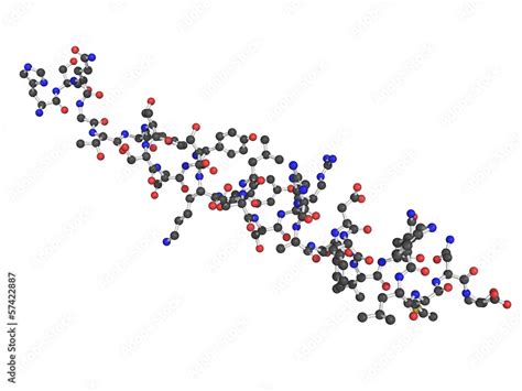 Chemical Structure Of Glucagon Stock Illustration Adobe Stock