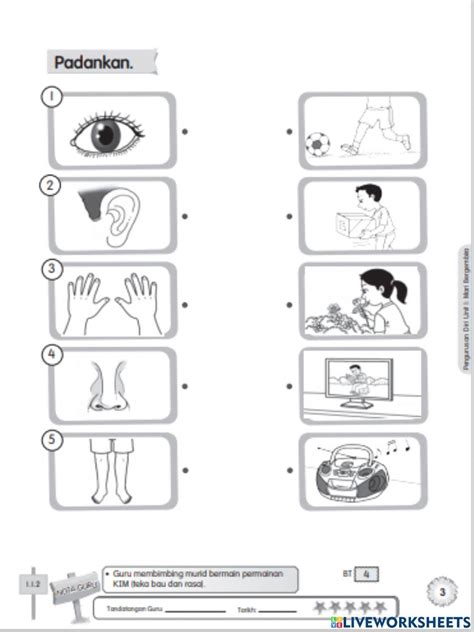 Pd Anggota Badan Interactive Worksheet Live Worksheets