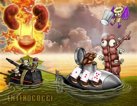 Enterococcus Osmosis