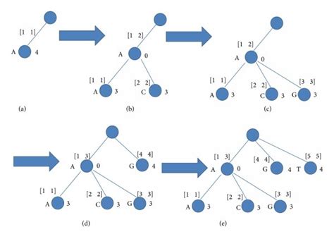 Construction Of Prefix Compact Tree After Sorting The Strings Each